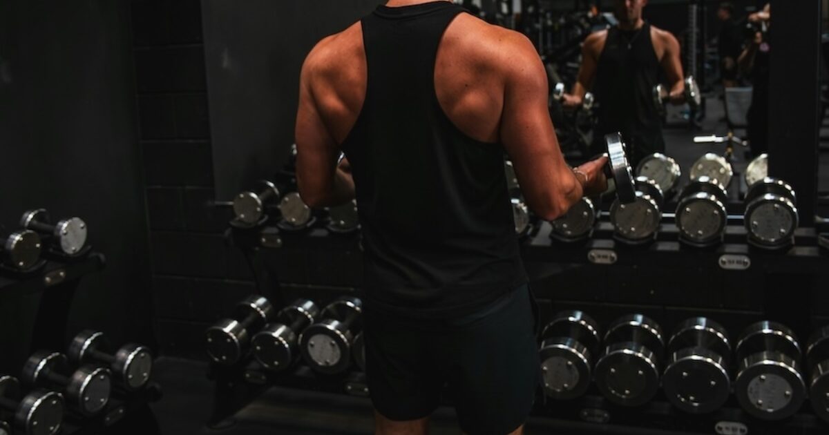 Bicep Workouts for Size and Definition | GrabGains