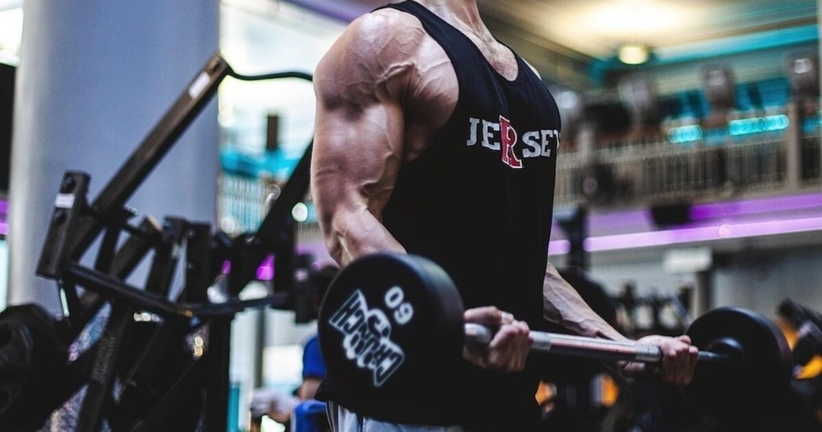 Full-Body Strength Program (3x/week) – Barbell Training… | GrabGains